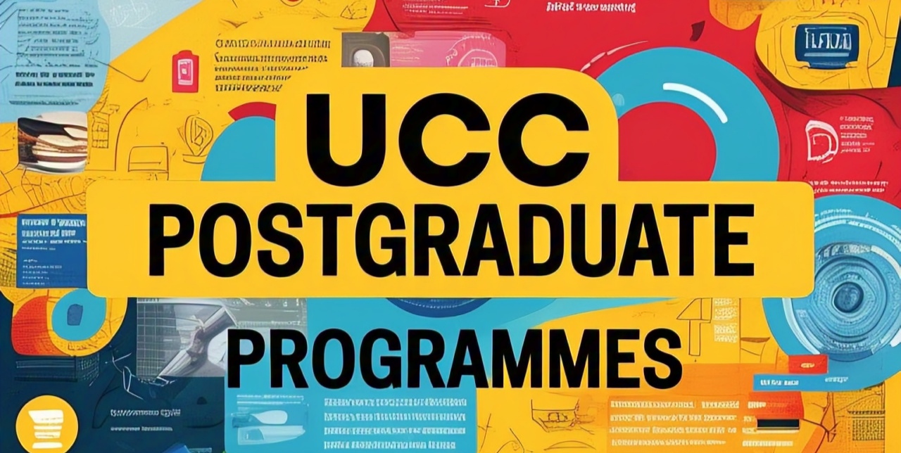 UCC Postgraduate Sandwich Programmes | Sandwich Mode